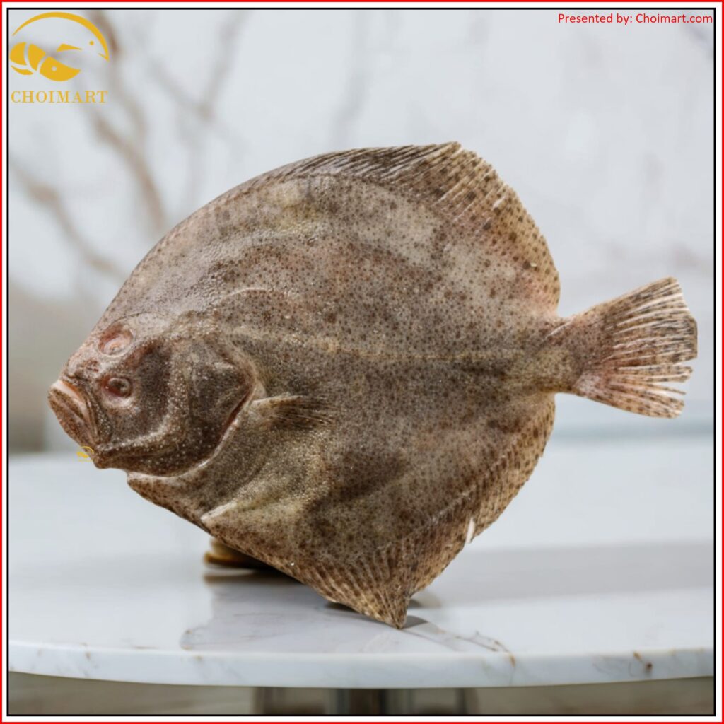 LIVE TURBO FISH | Choimart